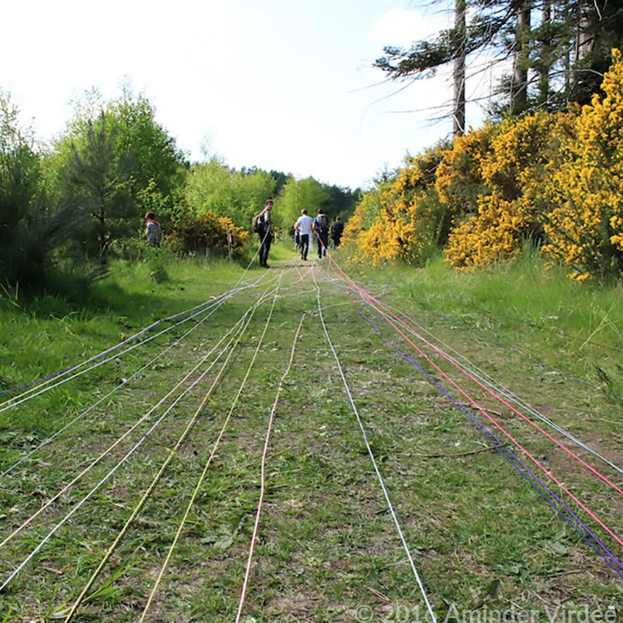 Artworks — Aminder Virdee