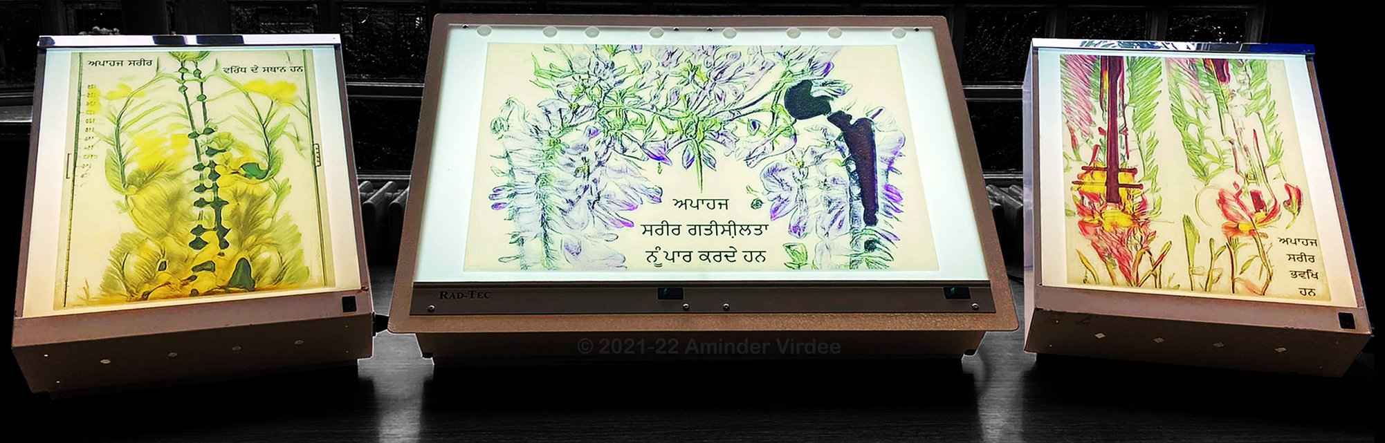 Eco-Crip: Cybotanical Futures (2021-22) — Aminder Virdee