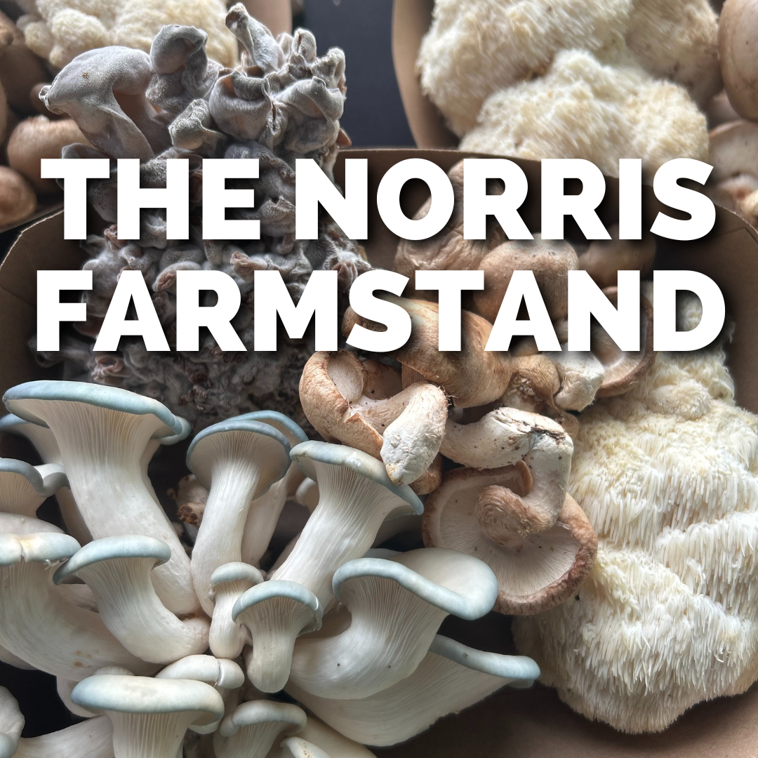 EAGLEVIEW — Growing Roots