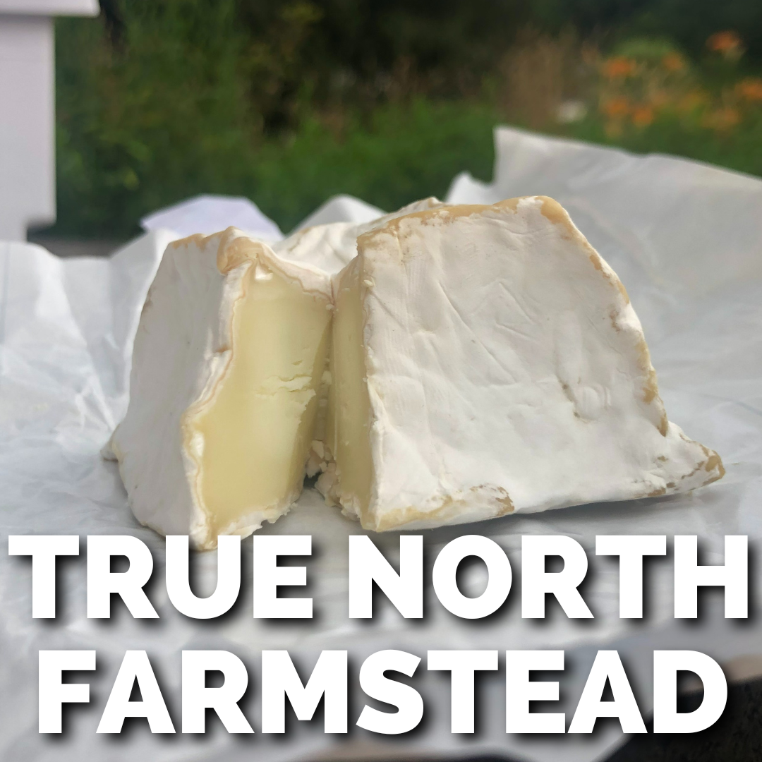 MALVERN — Growing Roots