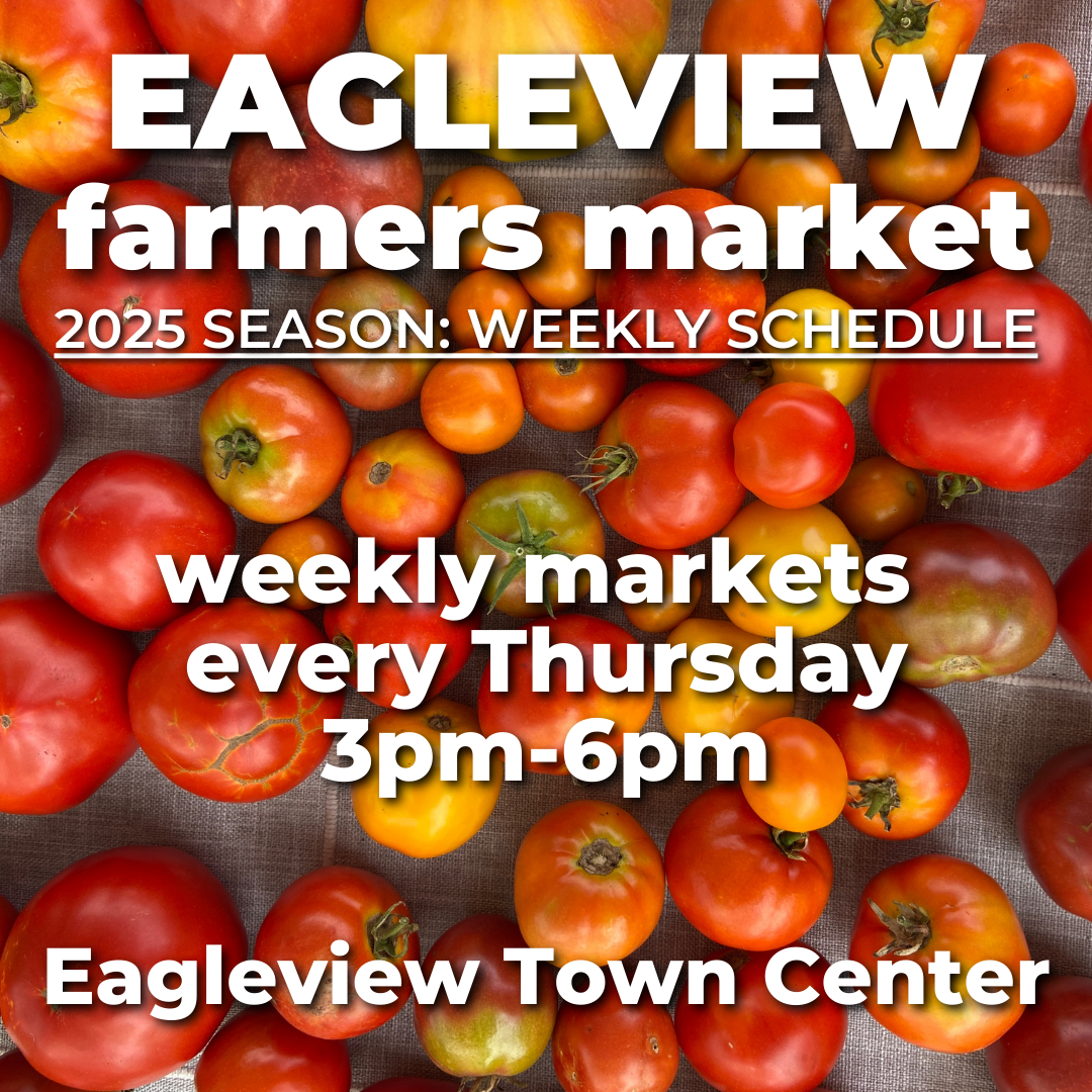 EAGLEVIEW — Growing Roots