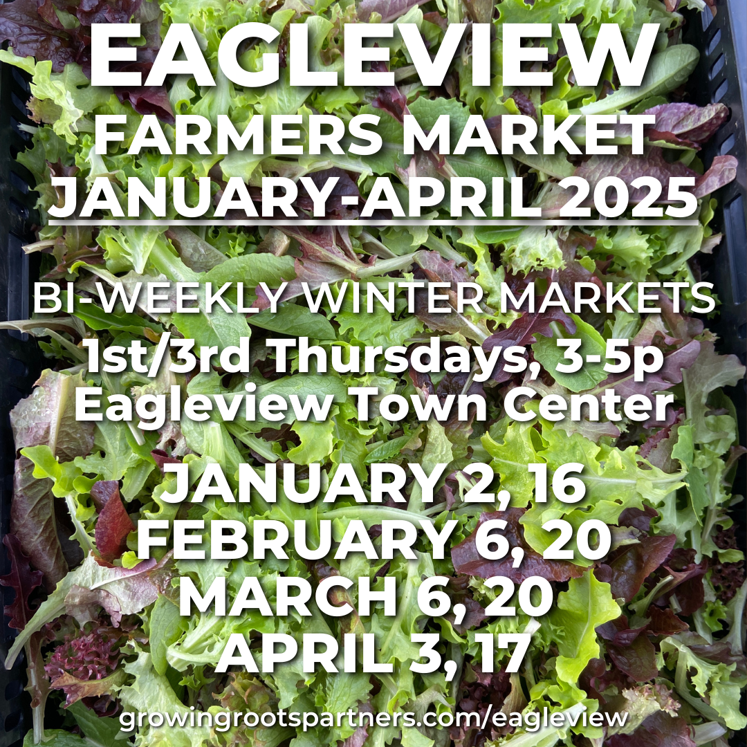 EAGLEVIEW — Growing Roots