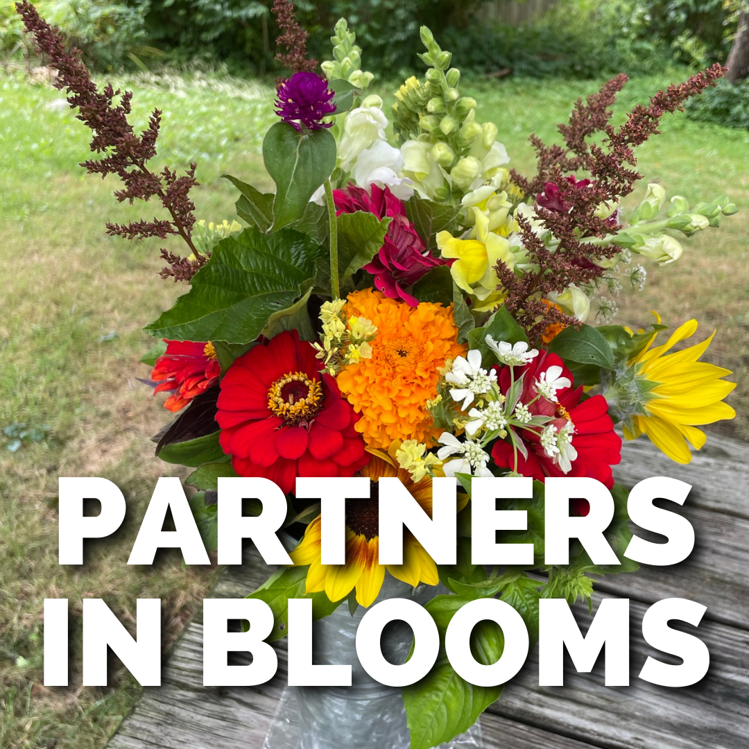 EAGLEVIEW — Growing Roots