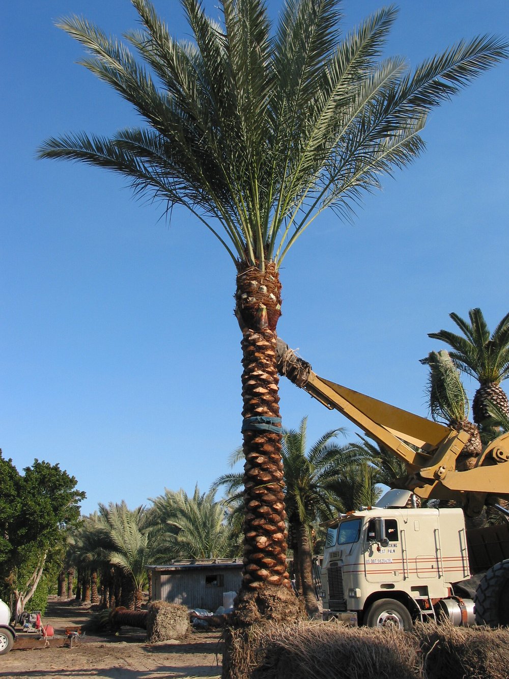 Groundworks - zahidis