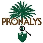 Certified Medjool Date Palms | Certified Zahidi Date Palms | Palm Trees ...