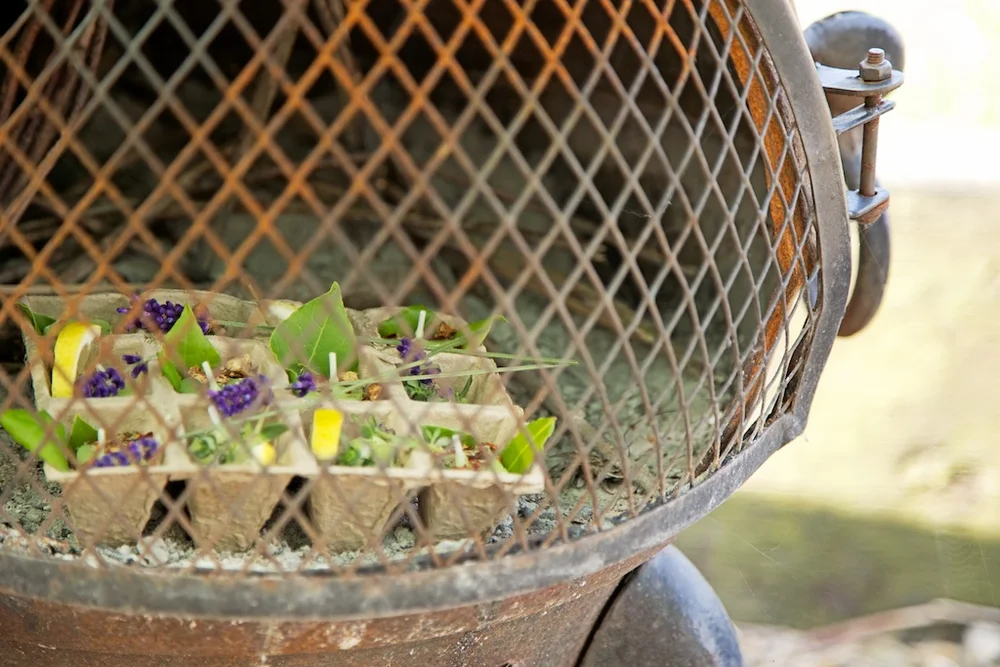 DIY • Homemade Scented Firelighters • Photo Backdrops UK from Capture ...