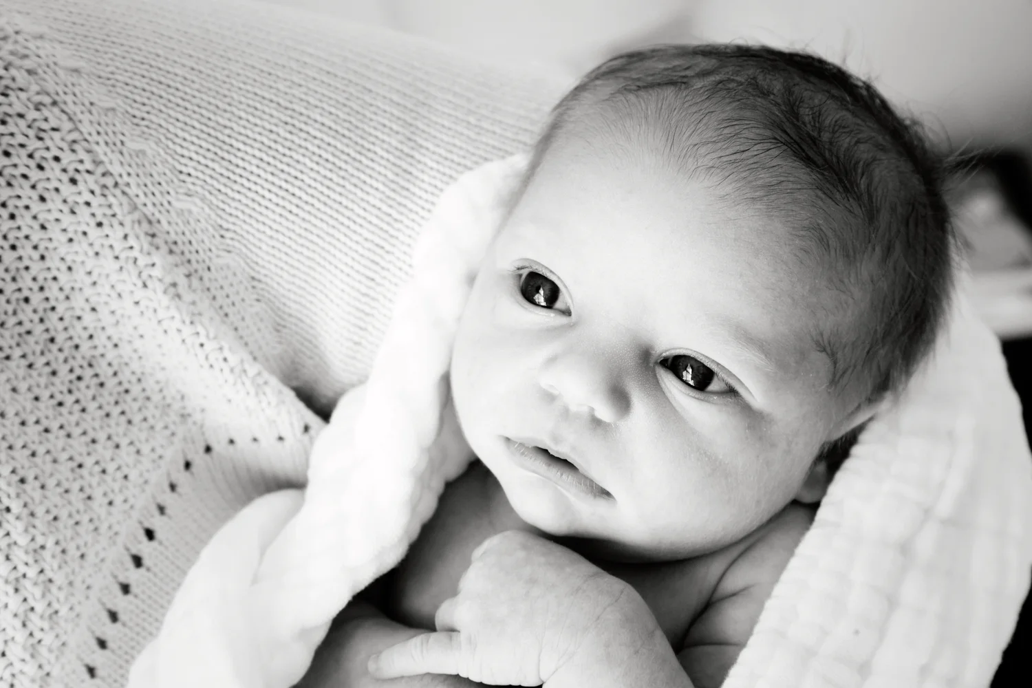 A postcard to Juliette • Photo Backdrops UK from Capture by Lucy