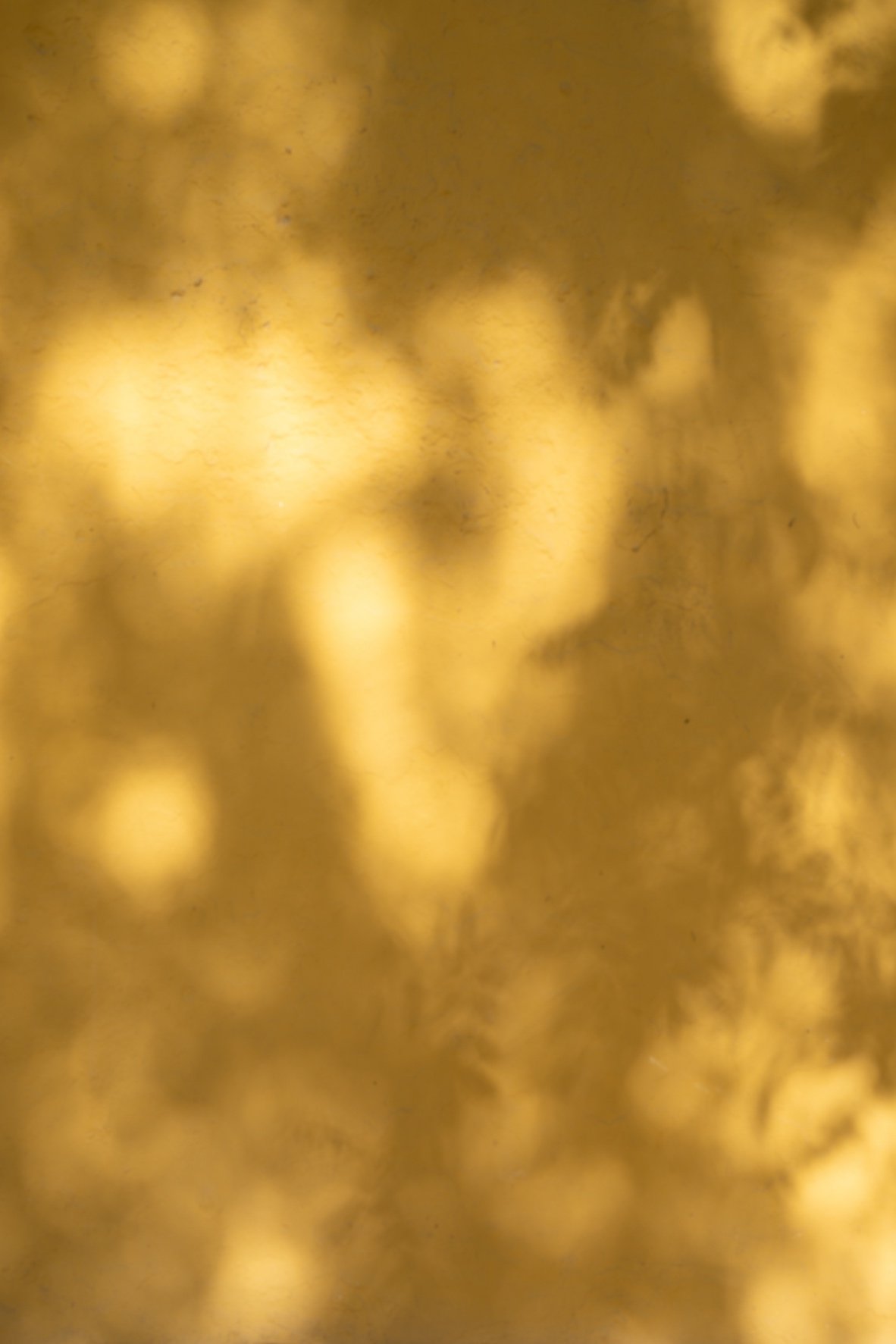 Photo Backdrops • UK • Vinyl Photo Backdrops • Food Photography ...