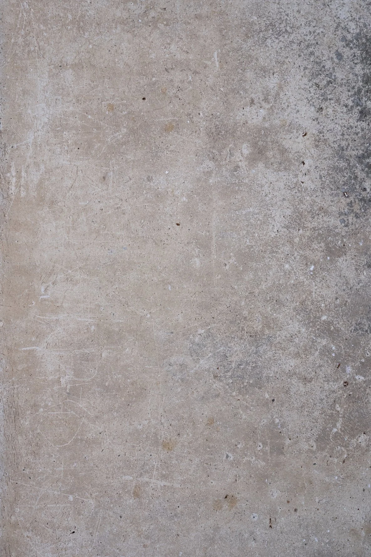 Cemento • Photo Backdrops UK from Capture by Lucy