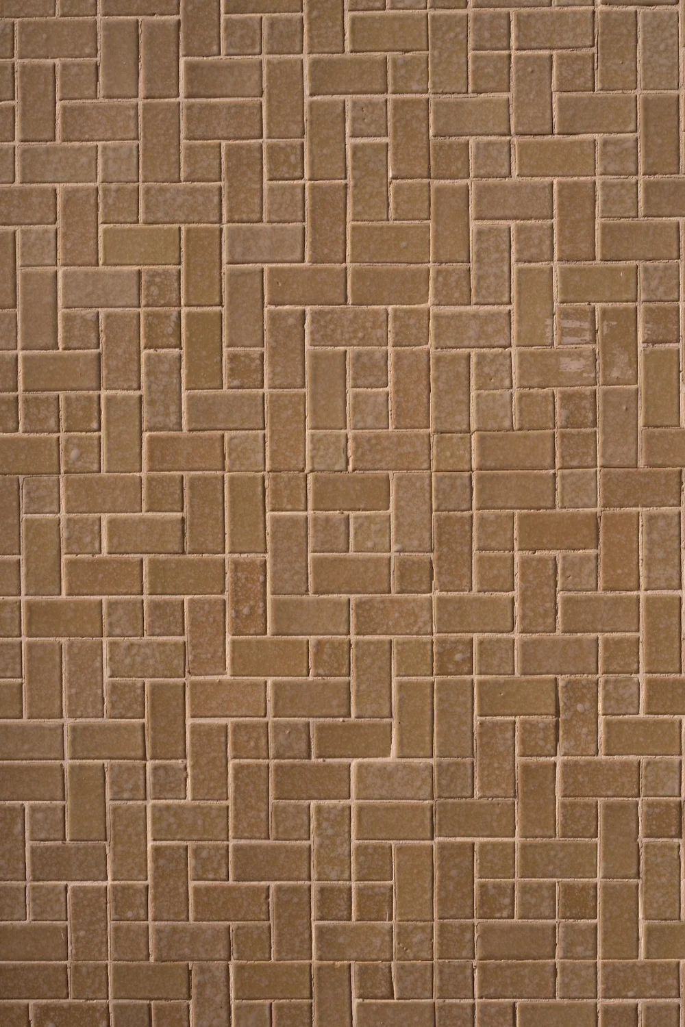 Tile Store • Photo Backdrops UK from Capture by Lucy