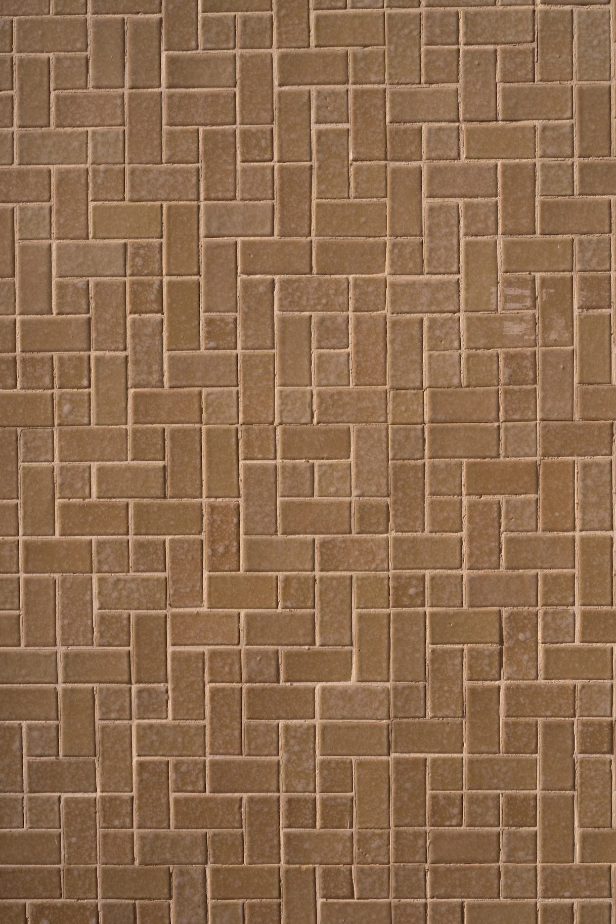 Tile Store • Photo Backdrops UK from Capture by Lucy