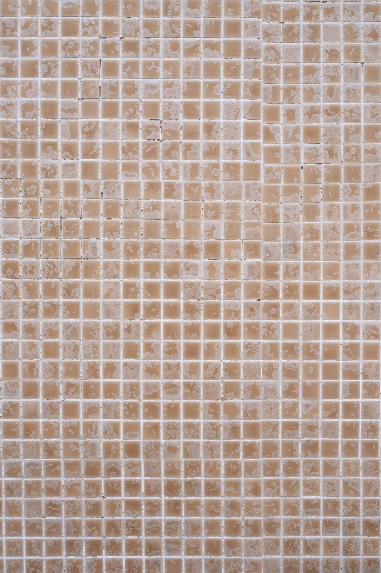 Tile Store • Photo Backdrops UK from Capture by Lucy