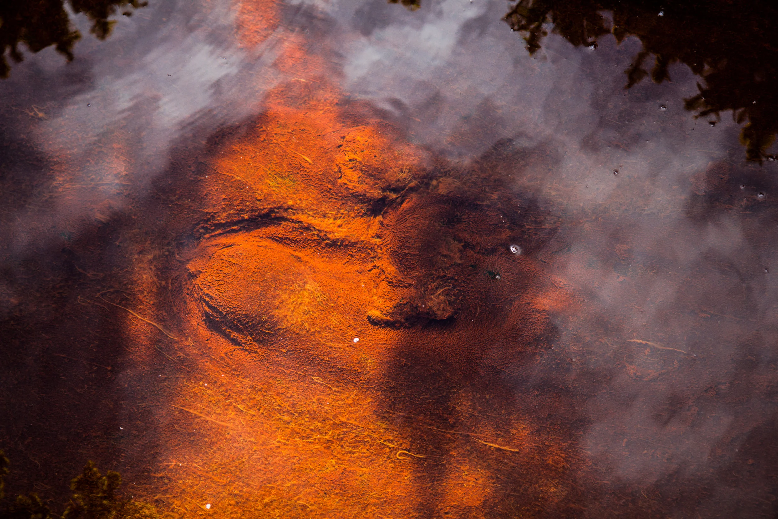 The Strange Case of Afon Goch y Gogledd — Lindsey Colbourne (Heledd Wen)
