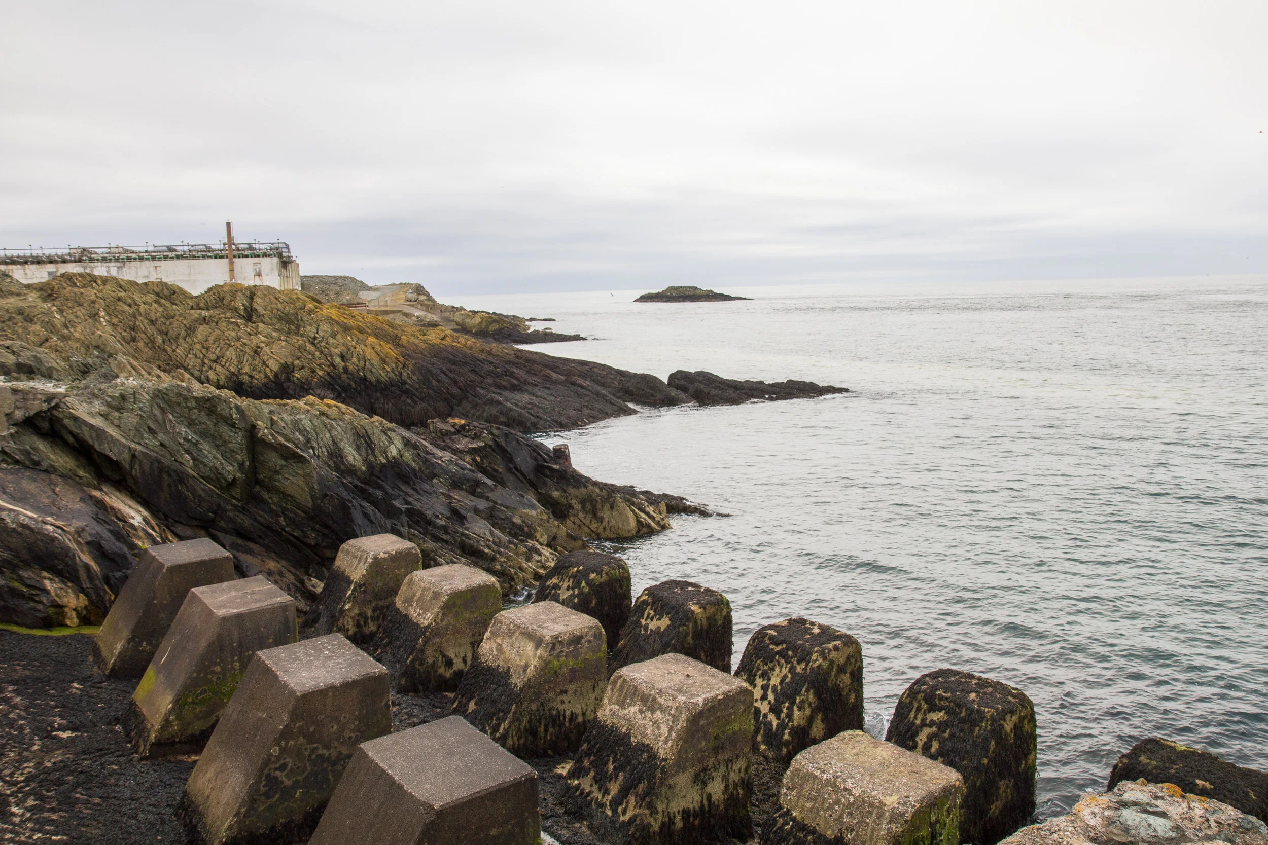 The Strange Case of Afon Goch y Gogledd — Lindsey Colbourne (Heledd Wen)