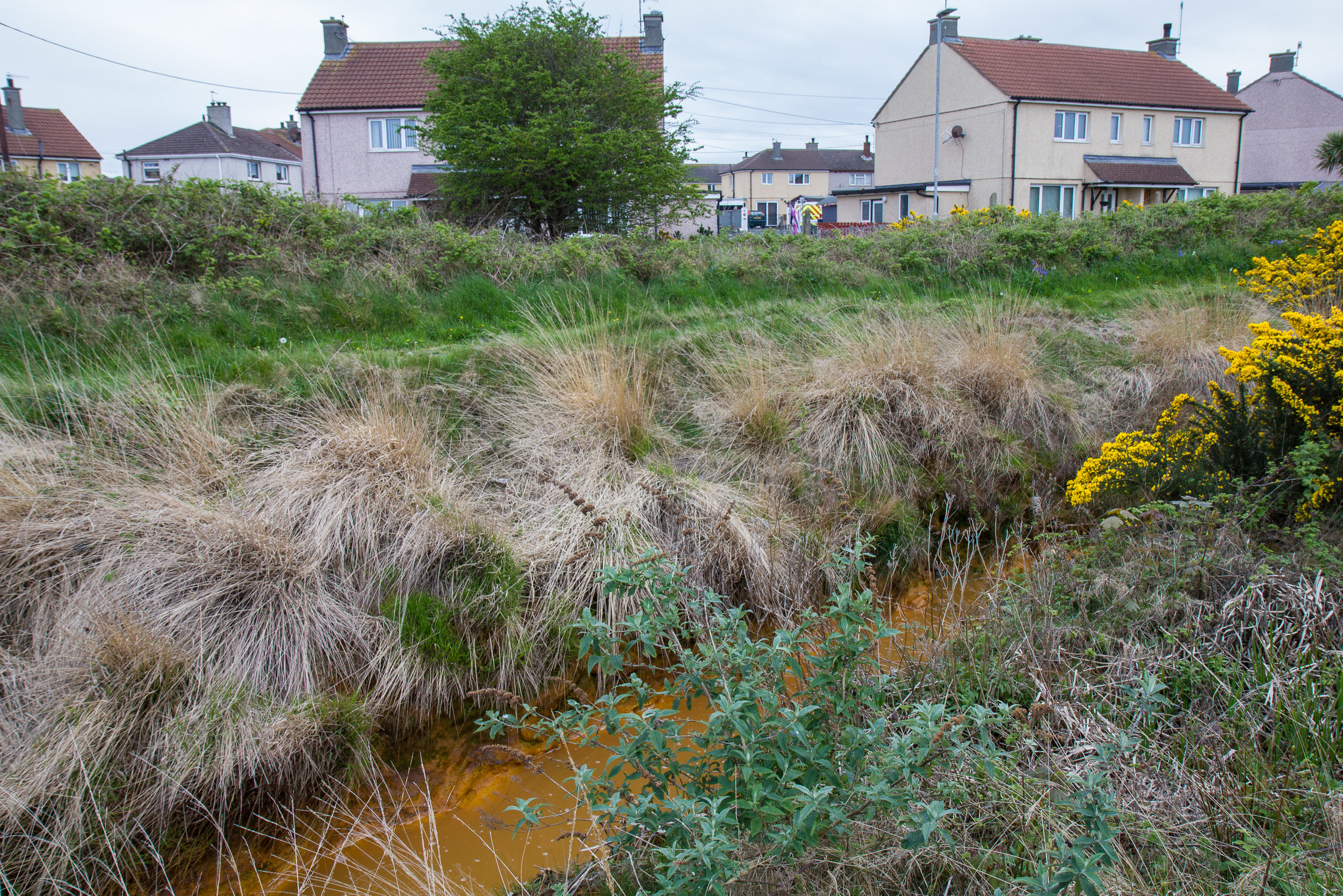 The Strange Case of Afon Goch y Gogledd — Lindsey Colbourne (Heledd Wen)