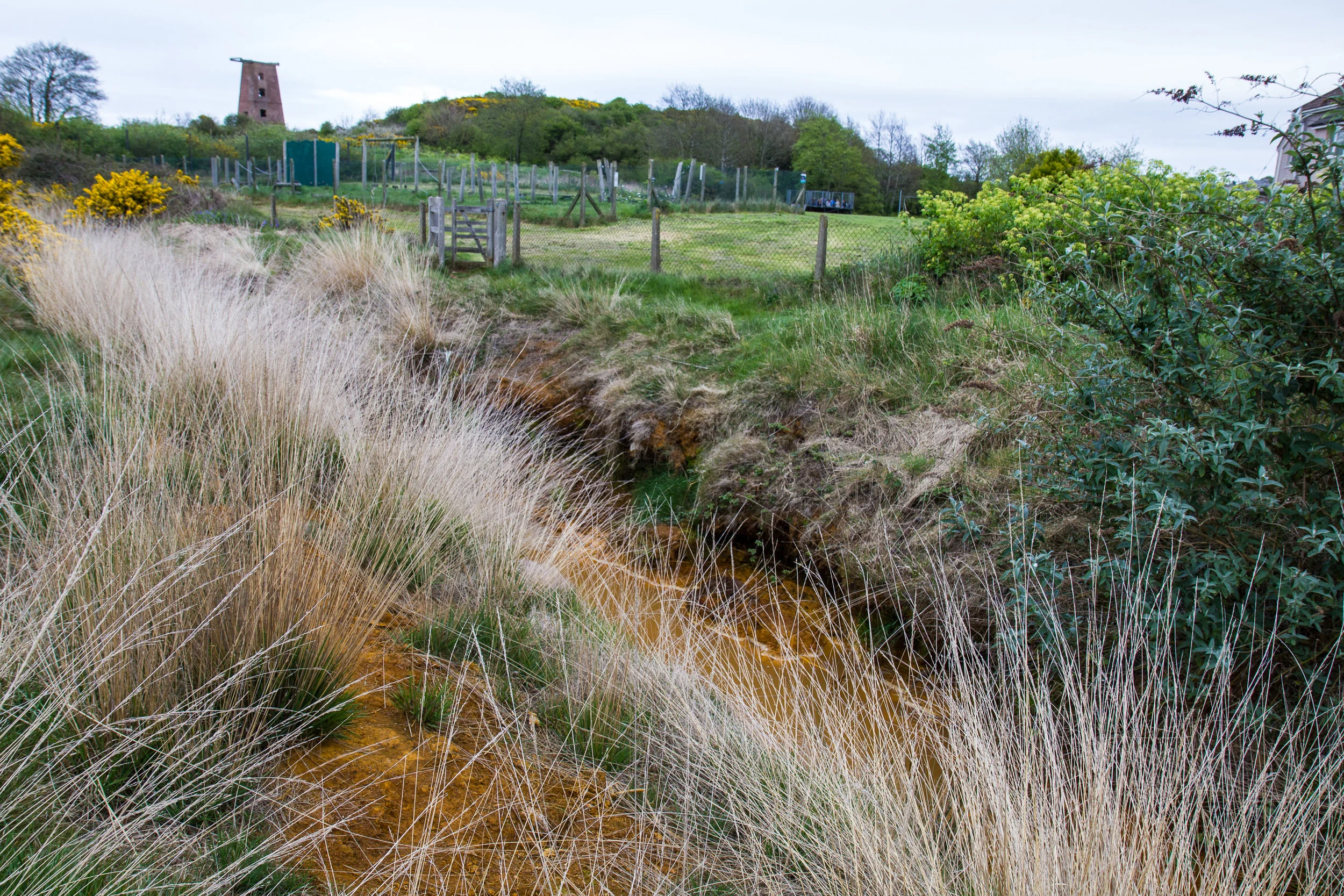 The Strange Case of Afon Goch y Gogledd — Lindsey Colbourne (Heledd Wen)