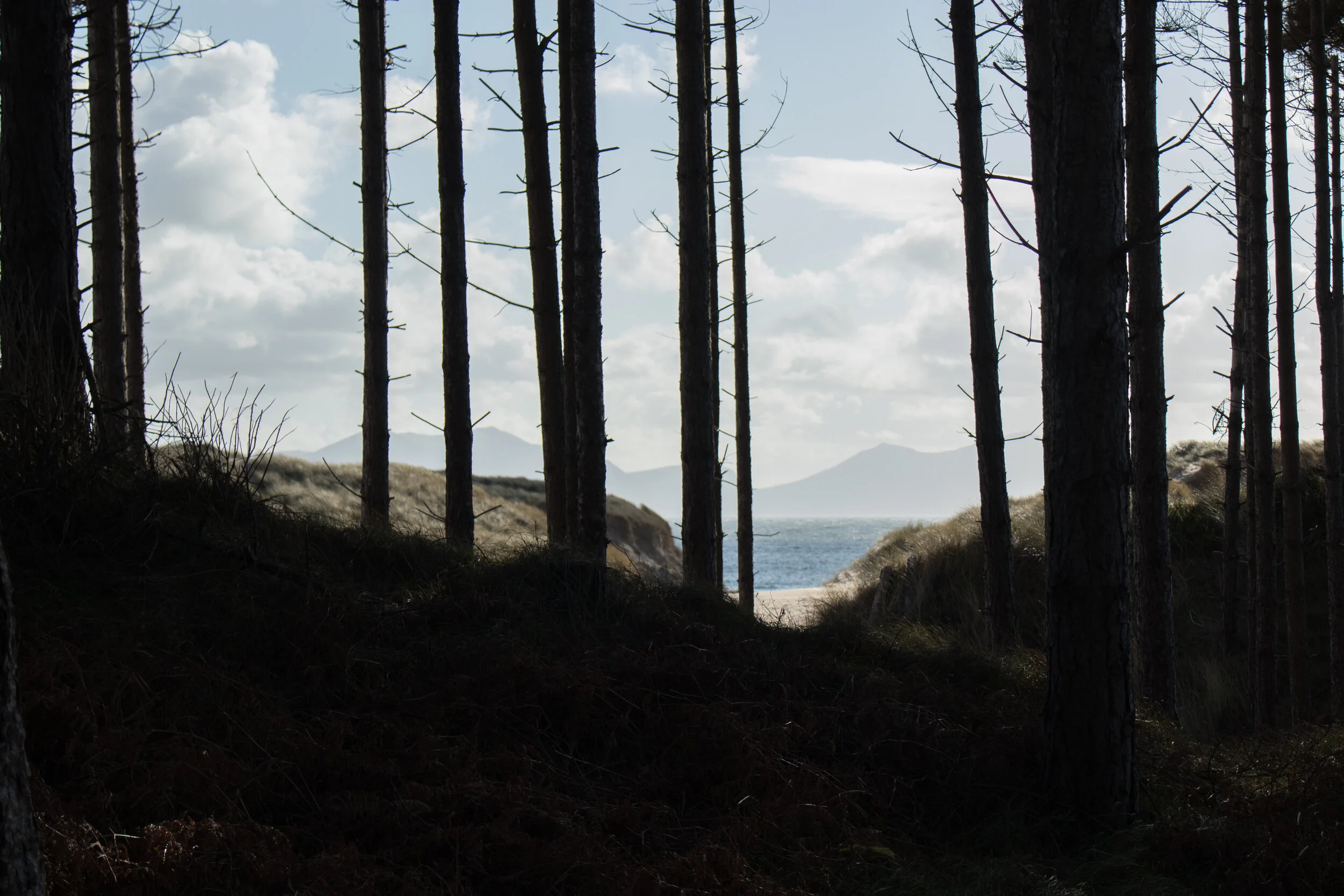 A little bit of Anticipatory History in Niwbwrch, Newborough — Lindsey ...