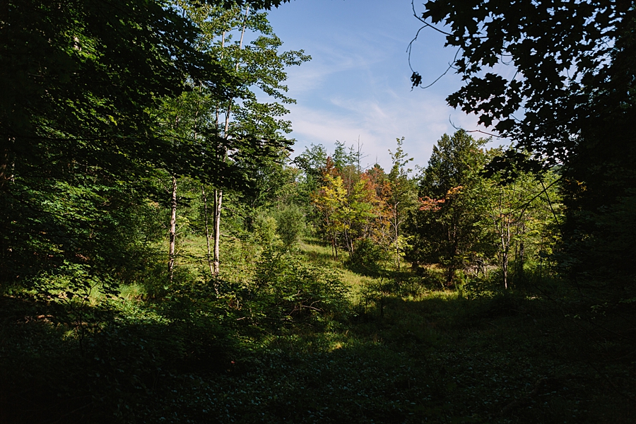 Backpacking in Northern Michigan // Jordan Valley Pathway // From the ...