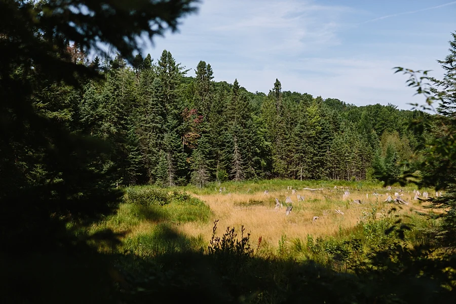 Backpacking in Northern Michigan // Jordan Valley Pathway // From the ...