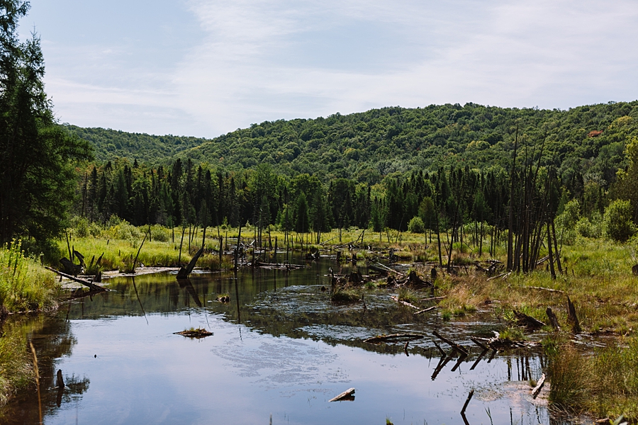 Backpacking in Northern Michigan // Jordan Valley Pathway // From the ...