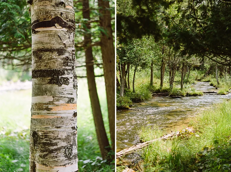 Backpacking in Northern Michigan // Jordan Valley Pathway // From the ...