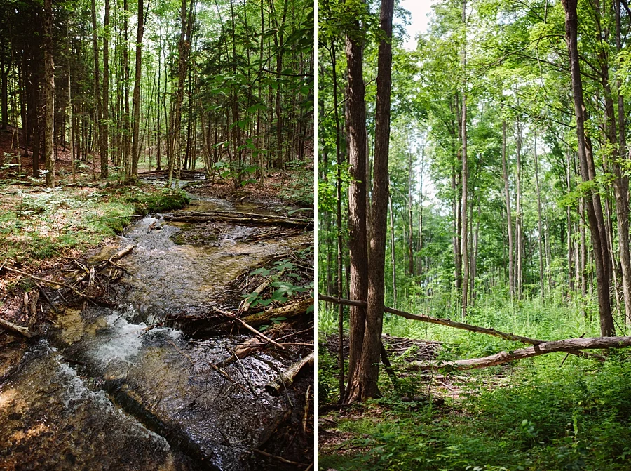Backpacking in Northern Michigan // Jordan Valley Pathway // From the ...