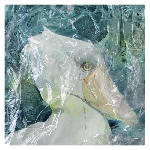 CLING WRAP — House of Watercolor