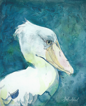 CLING WRAP — House of Watercolor