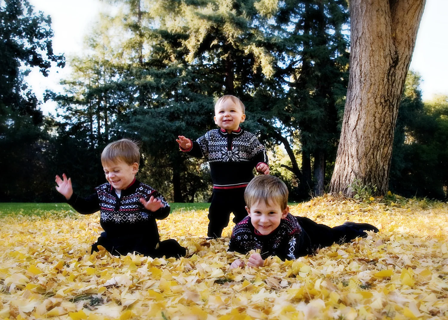 Pam Hansen Photography