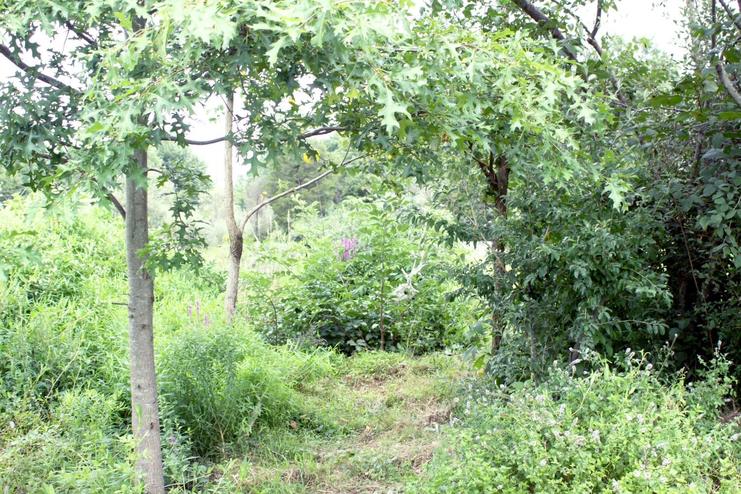 about — Fields Without Fences