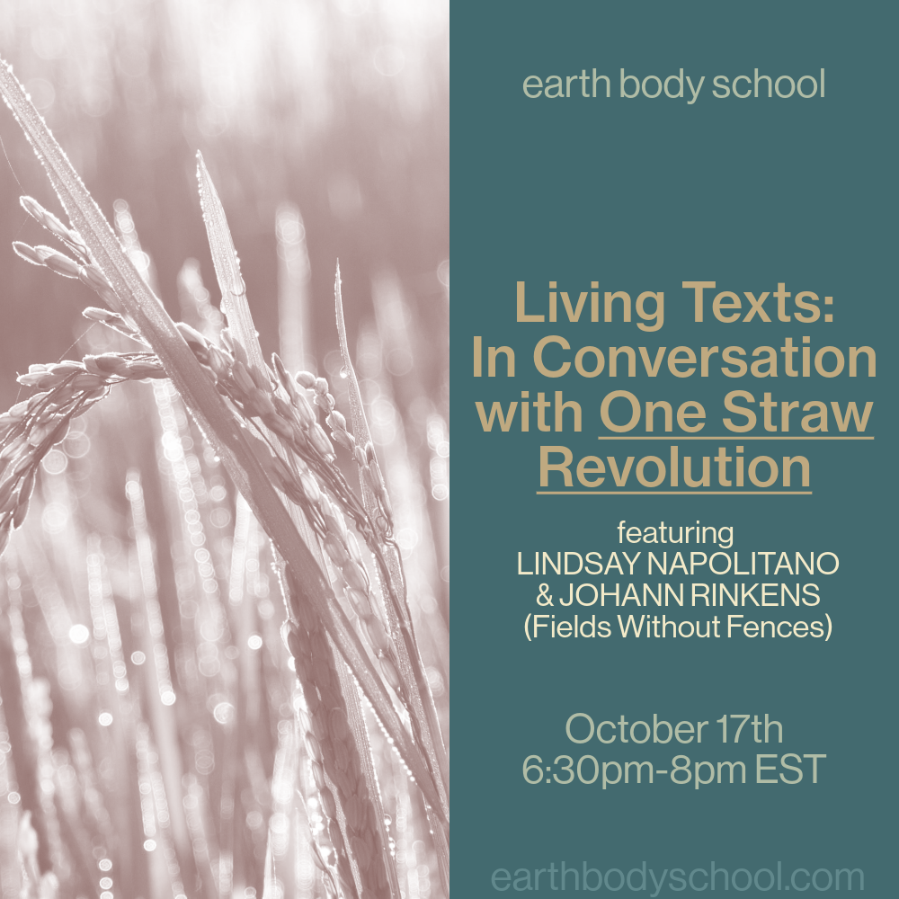 farm shop — Fields Without Fences