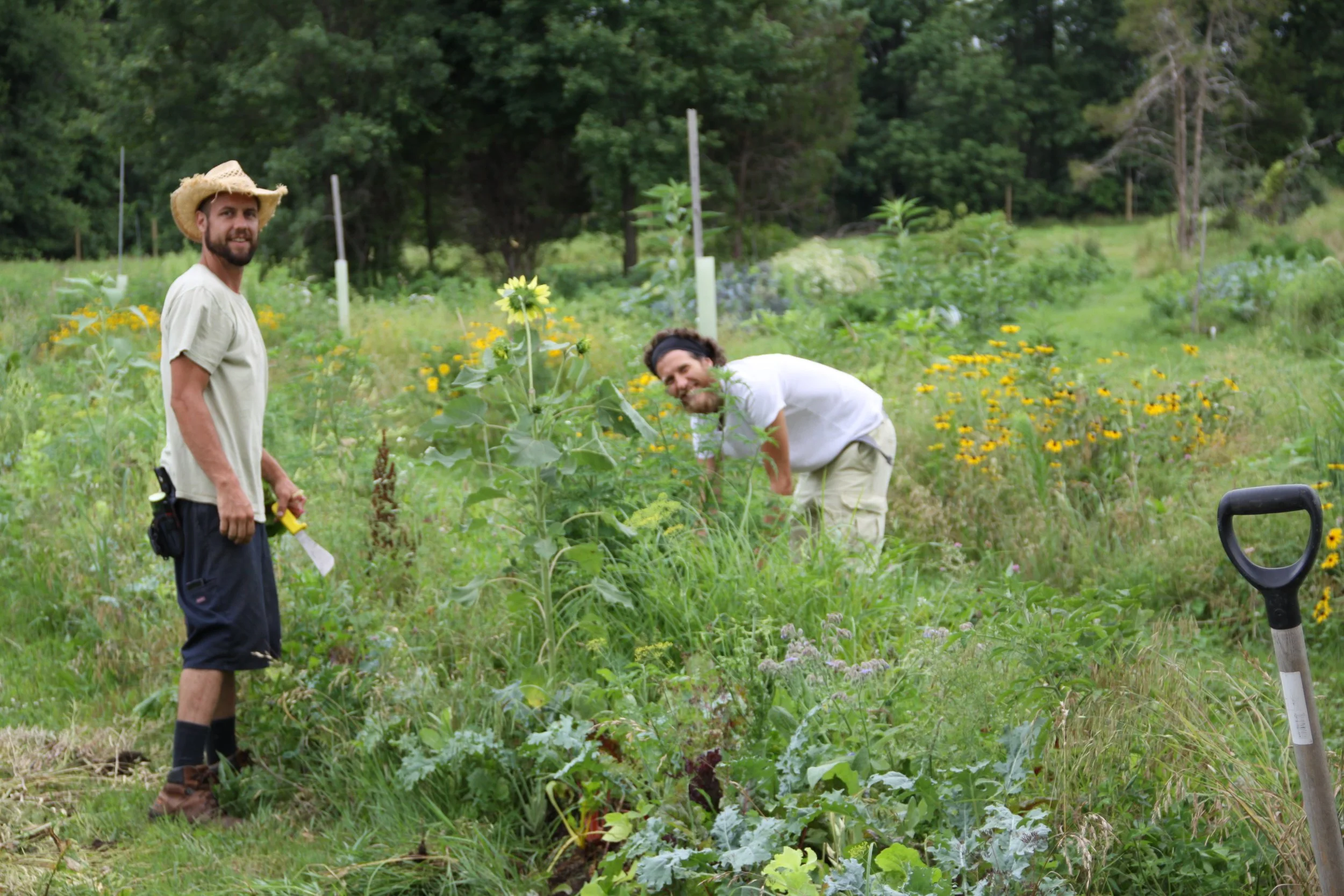 Decade in Reflection Part One: Forest Garden Farm — Fields Without Fences