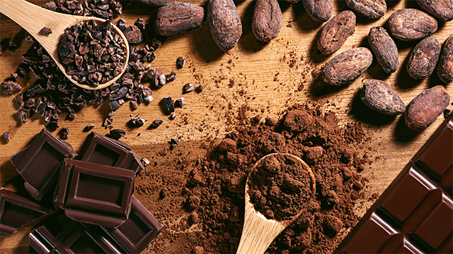 Chocolate Tasting Demonstration — Dallas Chocolate Classes