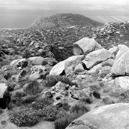 ROBERT MANN GALLERY — The Estate of Joe Deal