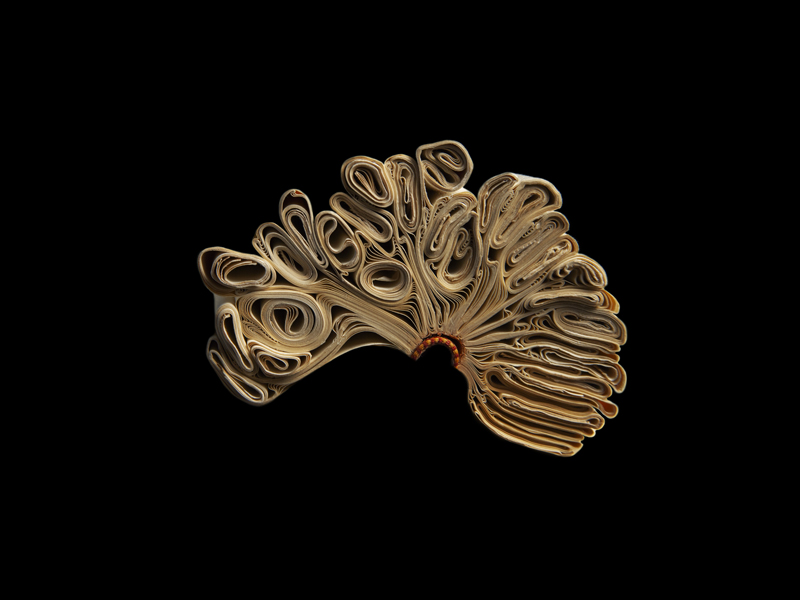 ROBERT MANN GALLERY — Richard Finkelstein