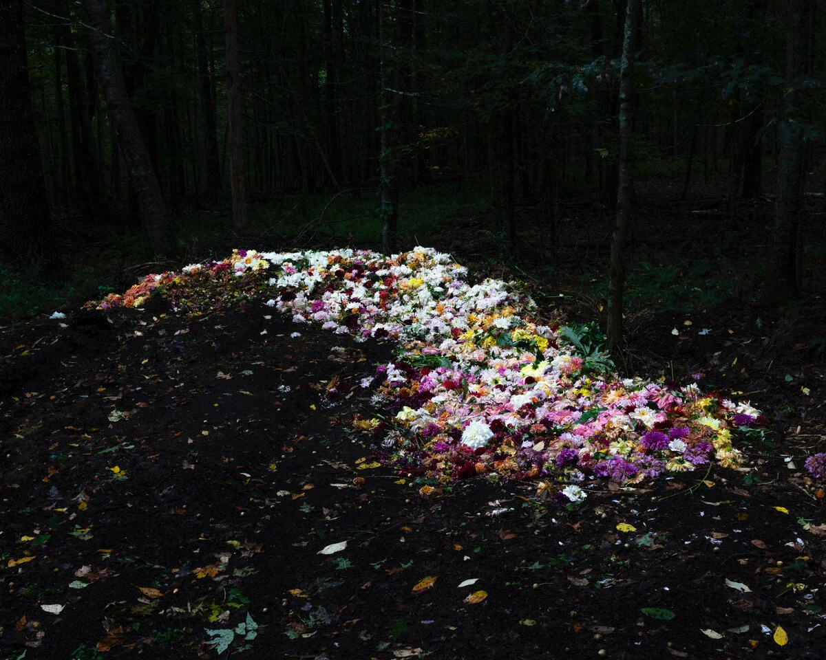 ROBERT MANN GALLERY — Cig Harvey