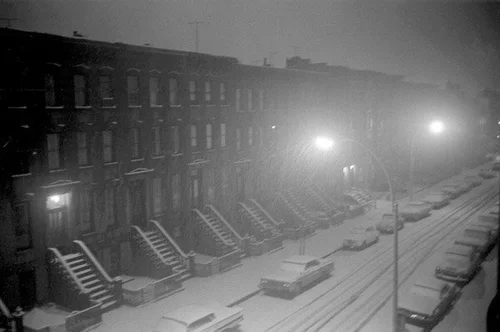 ROBERT MANN GALLERY — The Estate of David Vestal