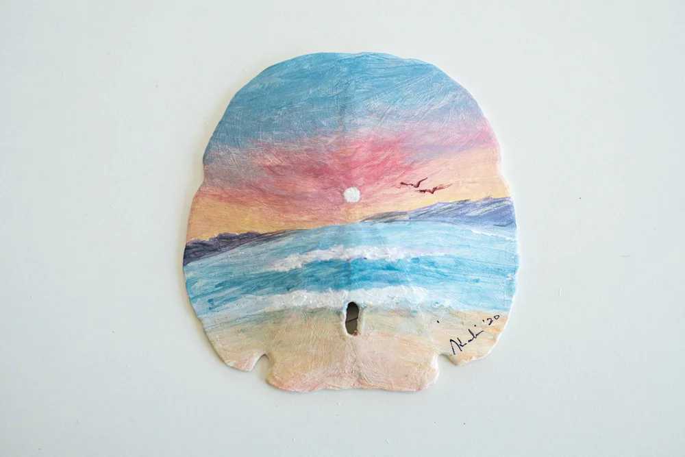 Sand Dollar Watercolor