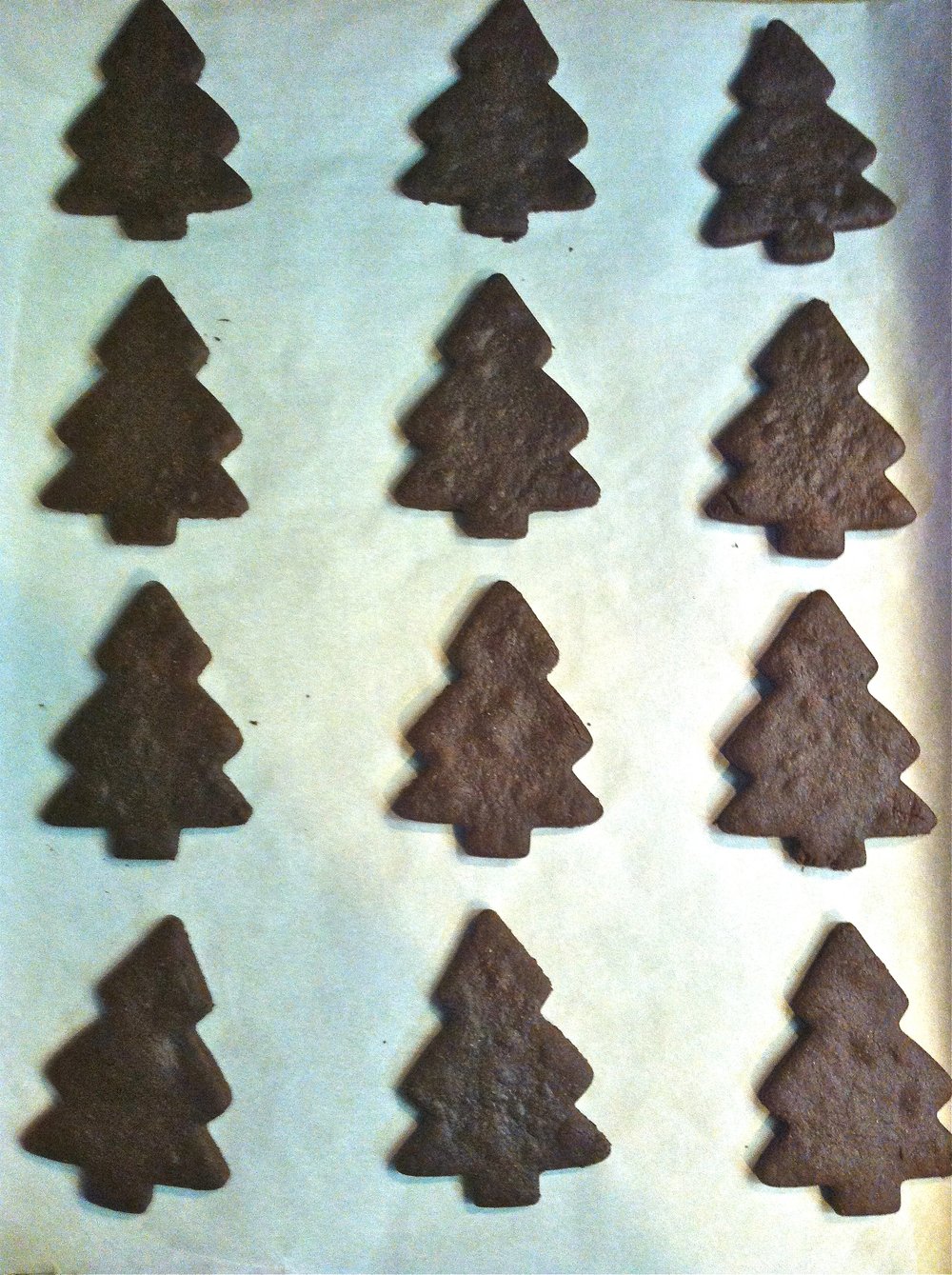 Mexican Chocolate Christmas Trees — Eclectik Domestic