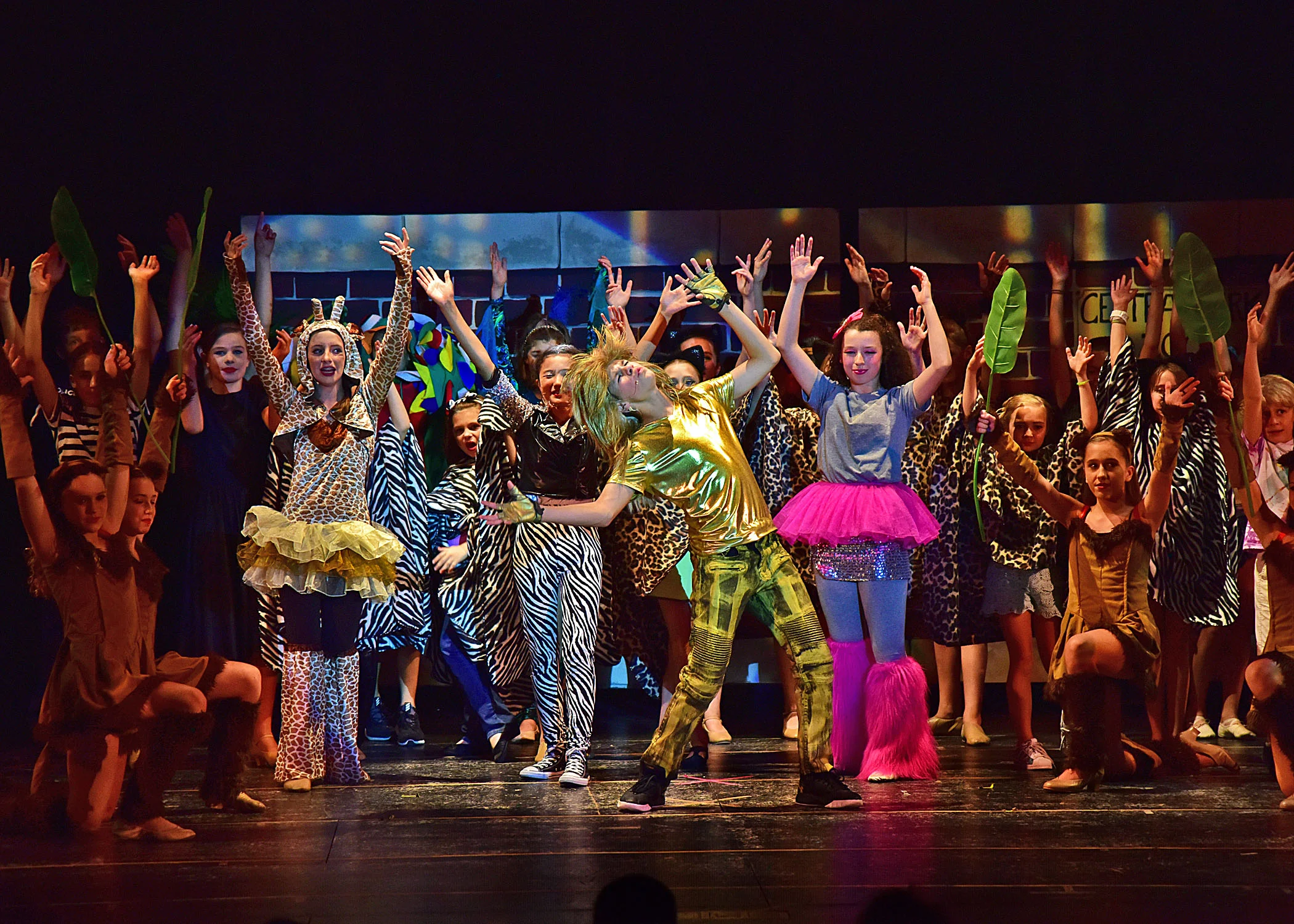 Vail Performing Arts Academy