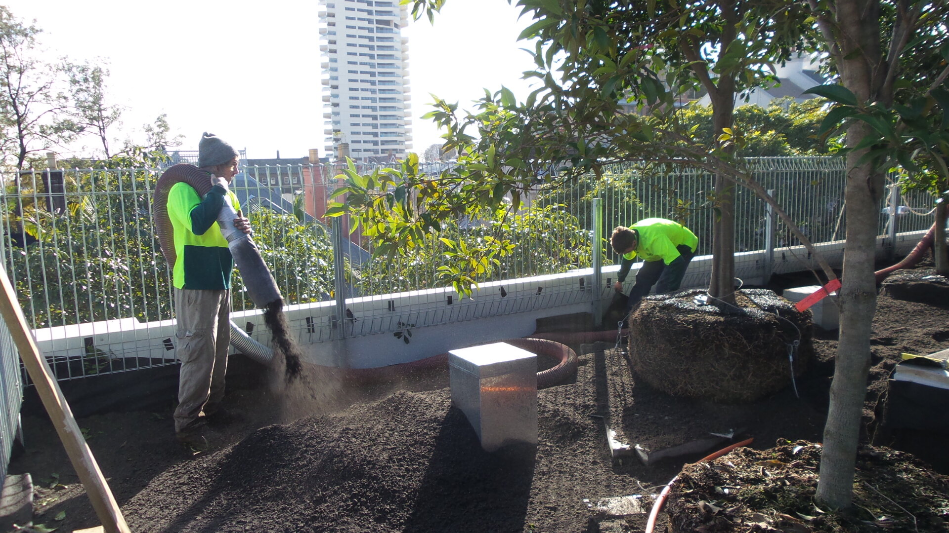 Greenroof construction basics — Green Roofs