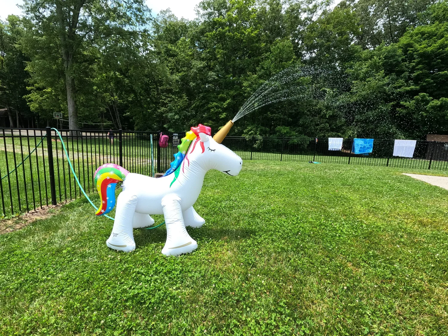 About — Camp Quest Ohio