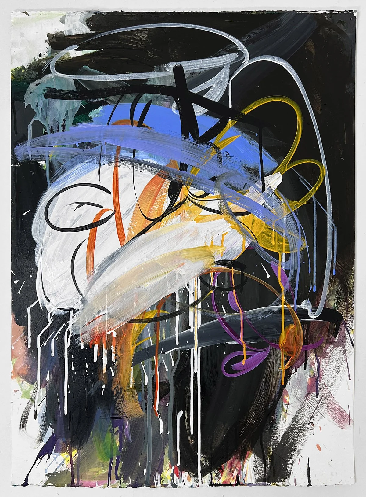 Paintings on Canvas and Paper — RYAN COLEMAN ART