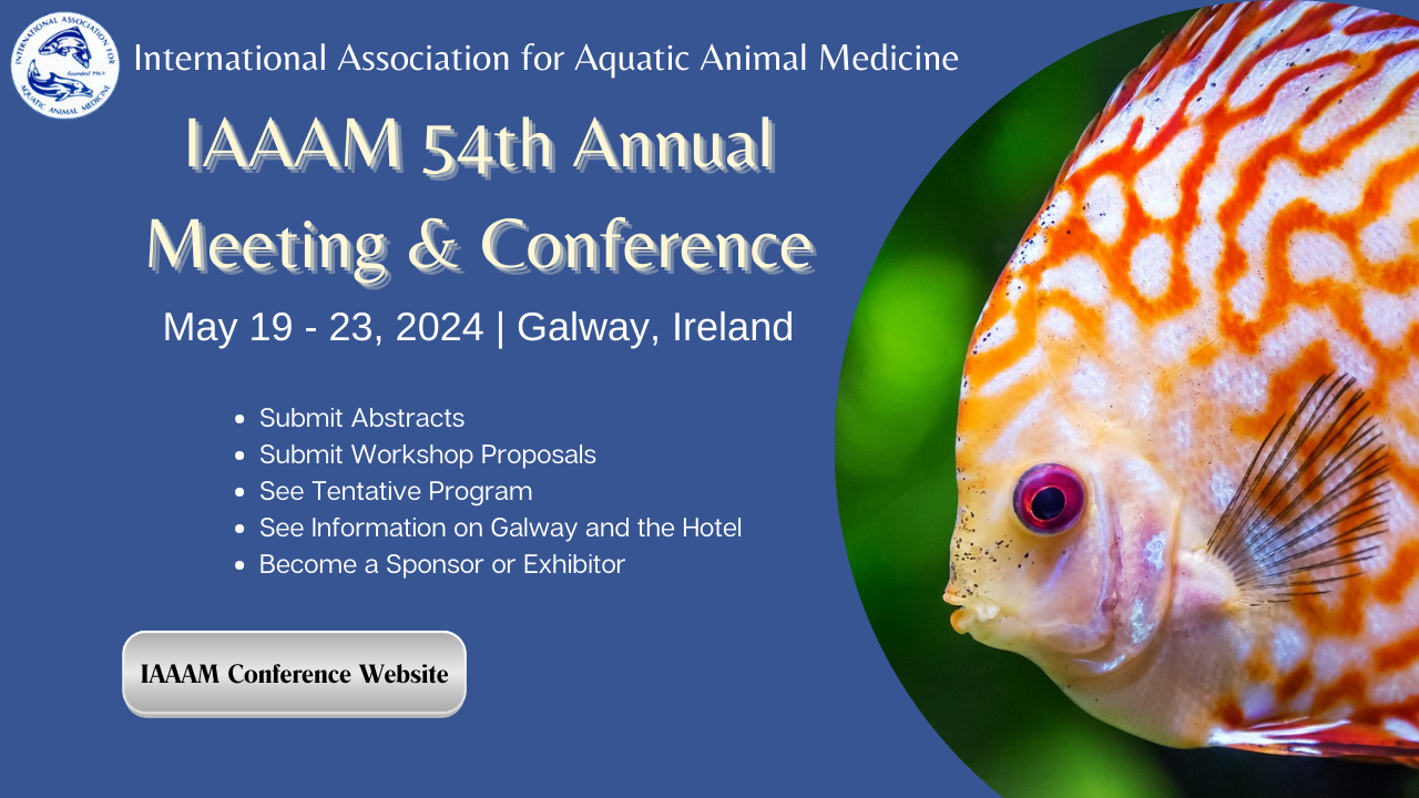 Iaaam 2024 Conference Discount USA | gbu-taganskij.ru Iaaam 2024 Conference Discount USA | gbu-taganskij.ru
