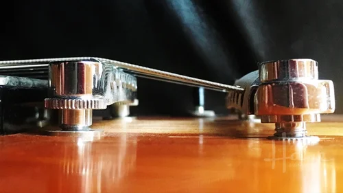 Guitar Sustainnnnnnn… — Haze Guitars
