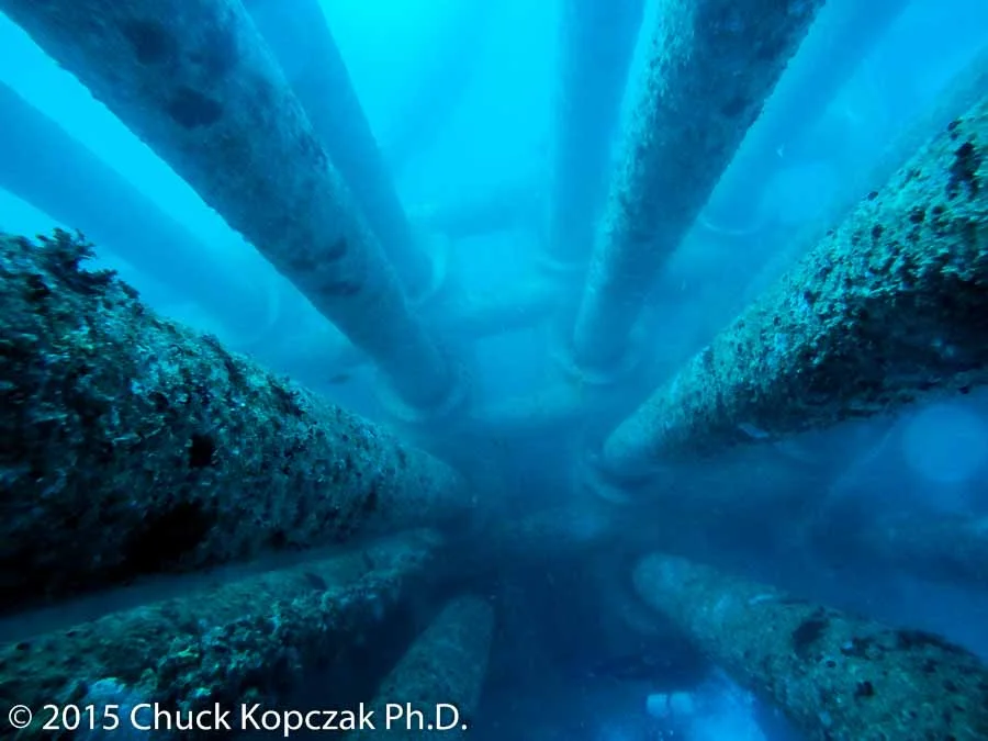 Underwater Looking Down