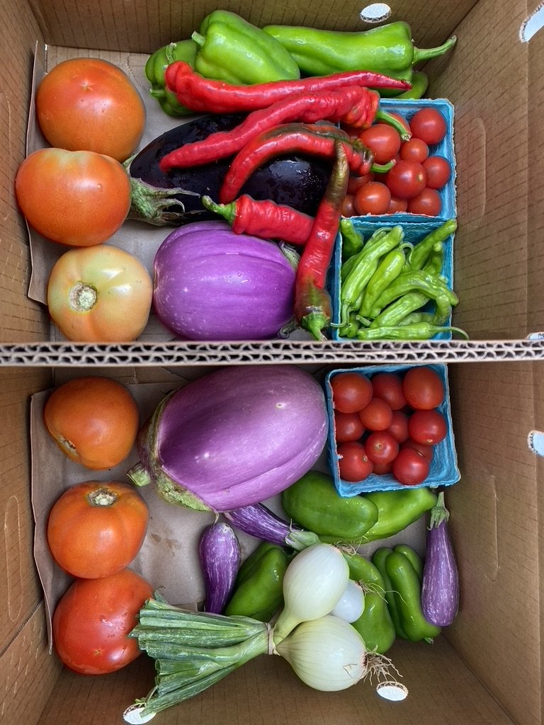 Winter Csa Box