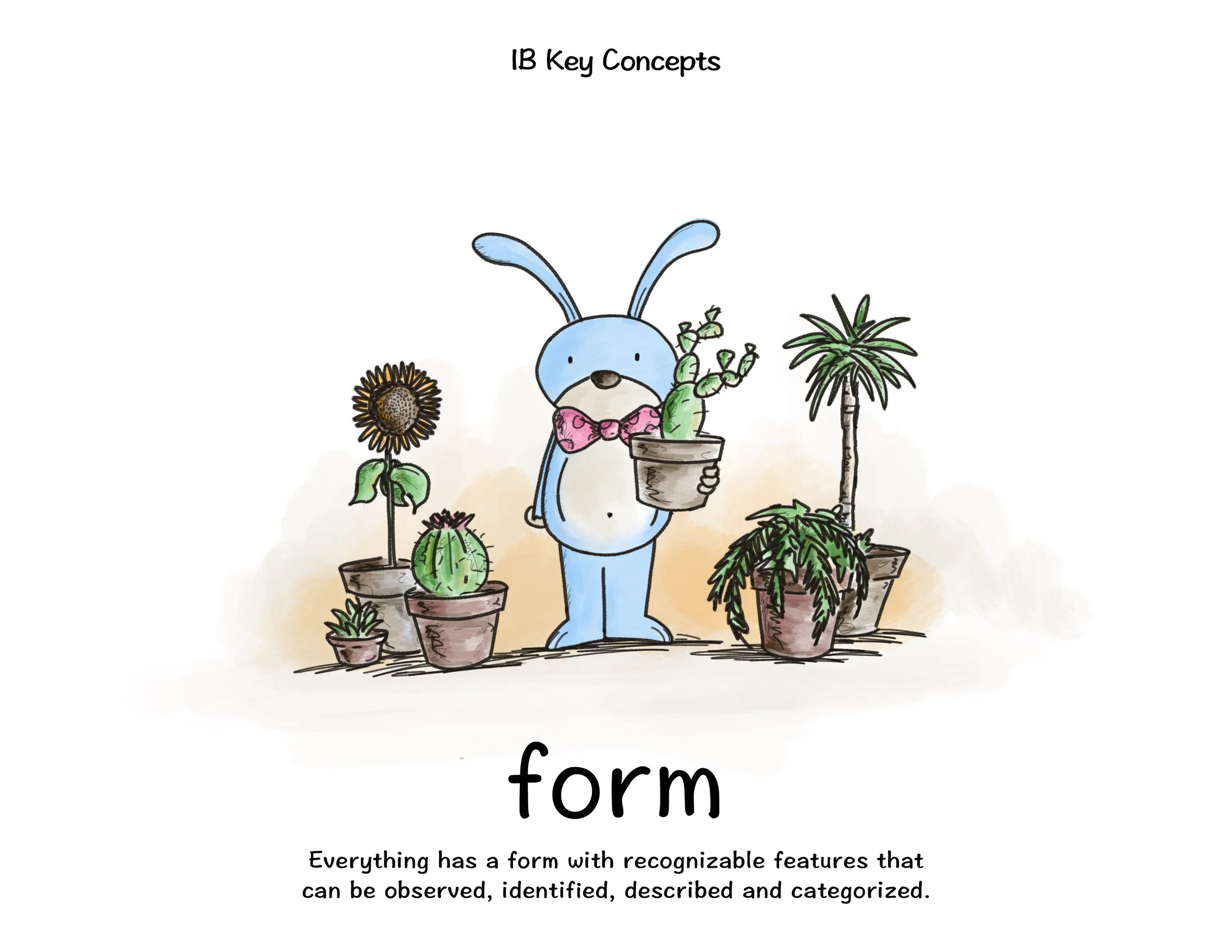 the International Baccalaureate - Key Concepts posters — Darren Lebeuf