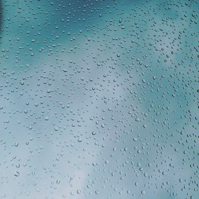 WHAT WE DID: FEBRUARY 3RD — We Denton Do It