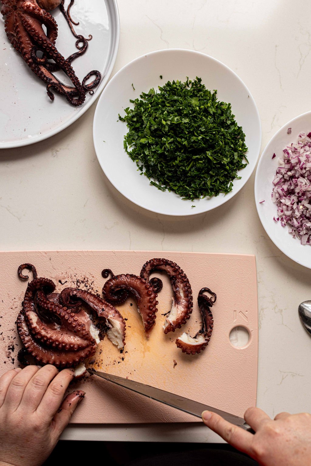 Sumac Octopus Salad — Middle Eastern Pantry & Recipes | New York Shuk